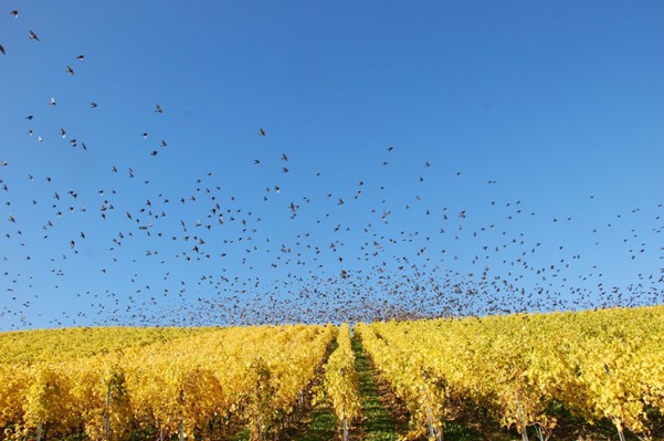 Life and Land | School of Earth and Environment | University of Leeds