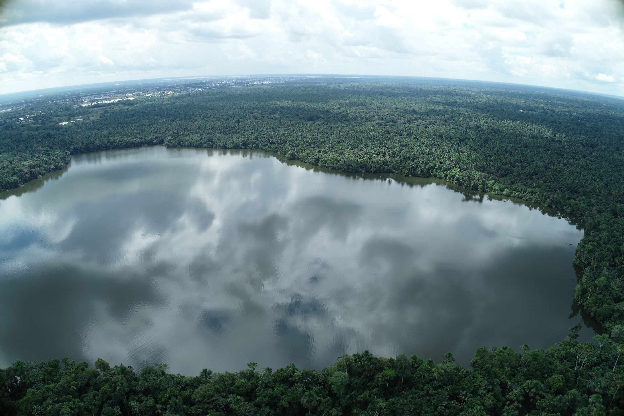 Drone technology helps to manage palm trees in the Peruvian Amazon | School of Geography ...