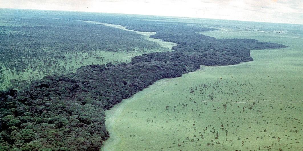 Exploring fractal patterns in African ecotones | News intray ...