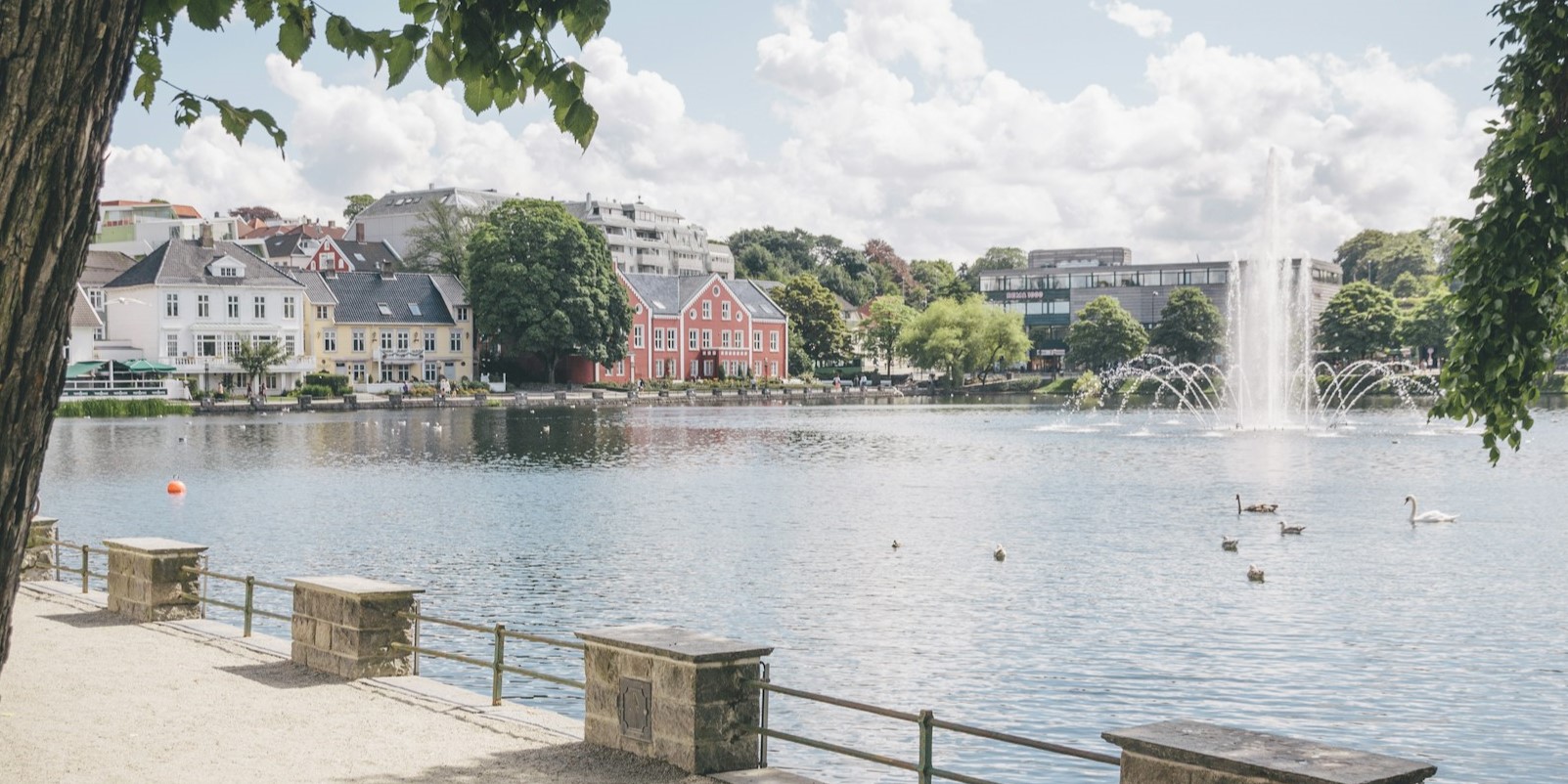 Pioneering urban models to create resilient cities | Faculty of ...